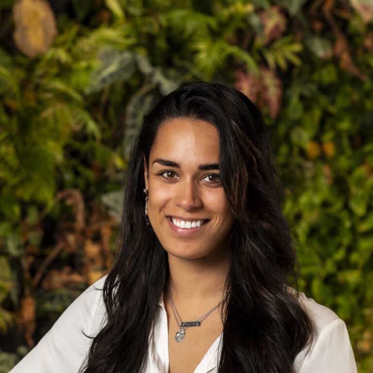 Ons team - Vega Projects